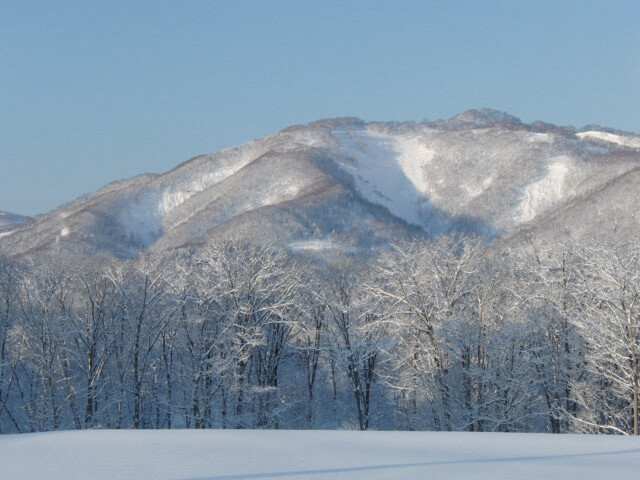 パールパウダーパラダイス | Niseko Area Guide